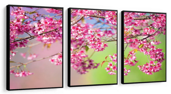 Kit 3 Quadros Decorativos Flor Cerejeira Para Sala Moldura Elo7