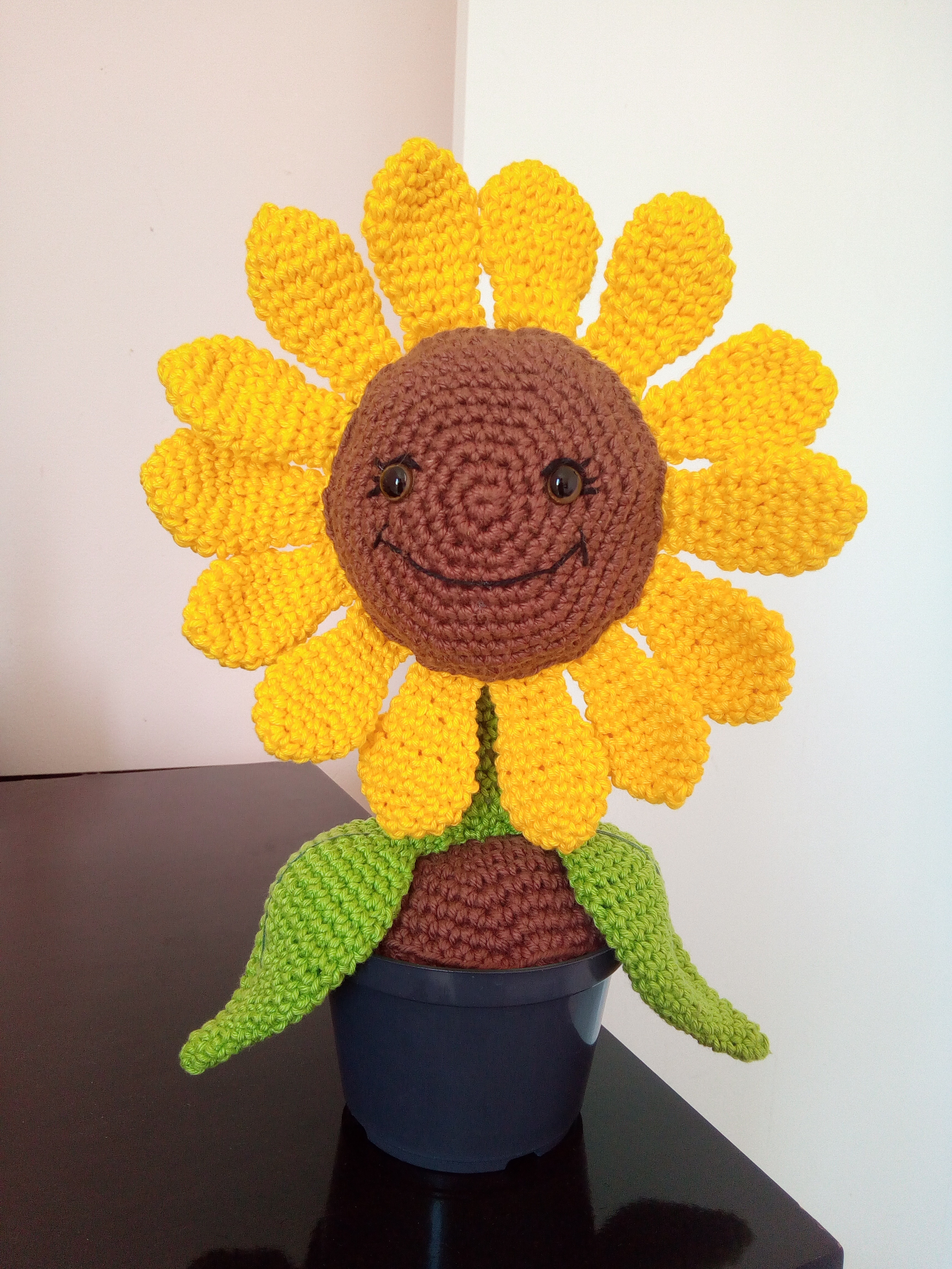 Flor Girassol No Vaso Best Succulent Ideas