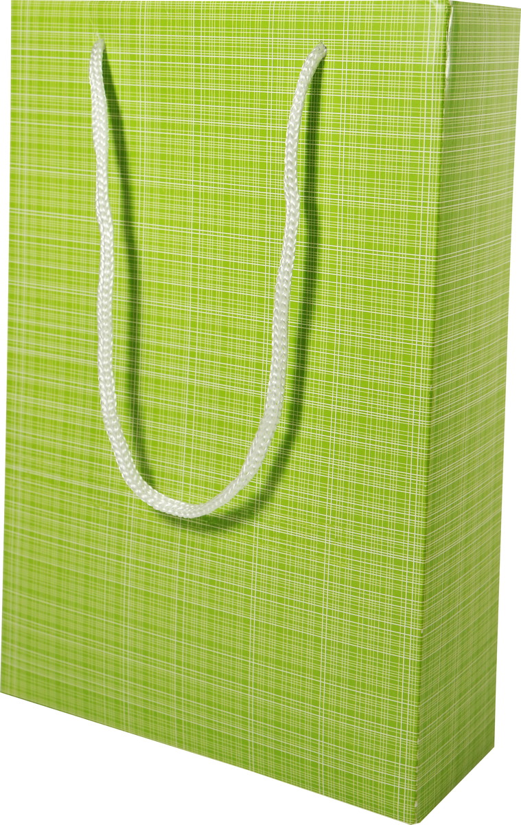 Sacola Presente Verde Pistache Xadrez Elo7 Produtos Especiais
