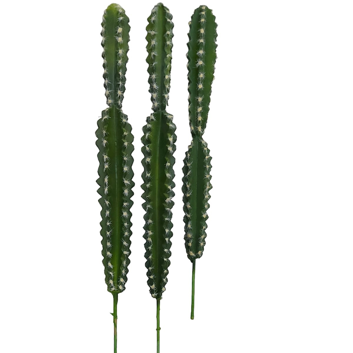 Cacto Artificial Planta Aparência Real Enfeite Decoração Elo7